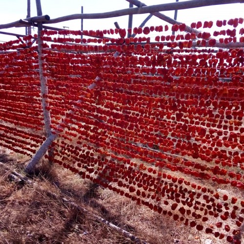 Çetin İsot, Şanlıurfa İsot, Biber, Salça, Kuru Gıdalar